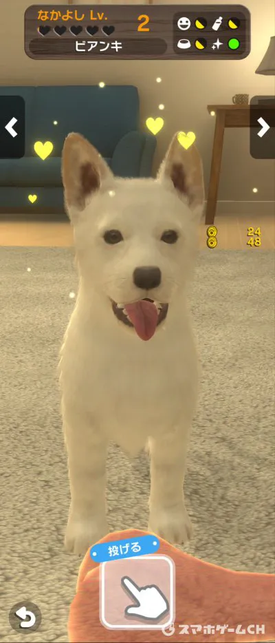 with My DOG - 犬とくらそう -をじっくり遊んで徹底レビュー！ - スマホゲームCH